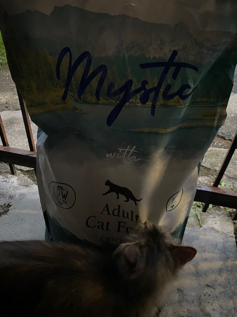 Mystic Super Premium Cat Food, Pet Supplies, Pet Food on Carousell