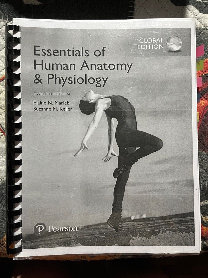 NURSING BOOK Essentials of Human Anatomy & Physiology 12th Edition ...