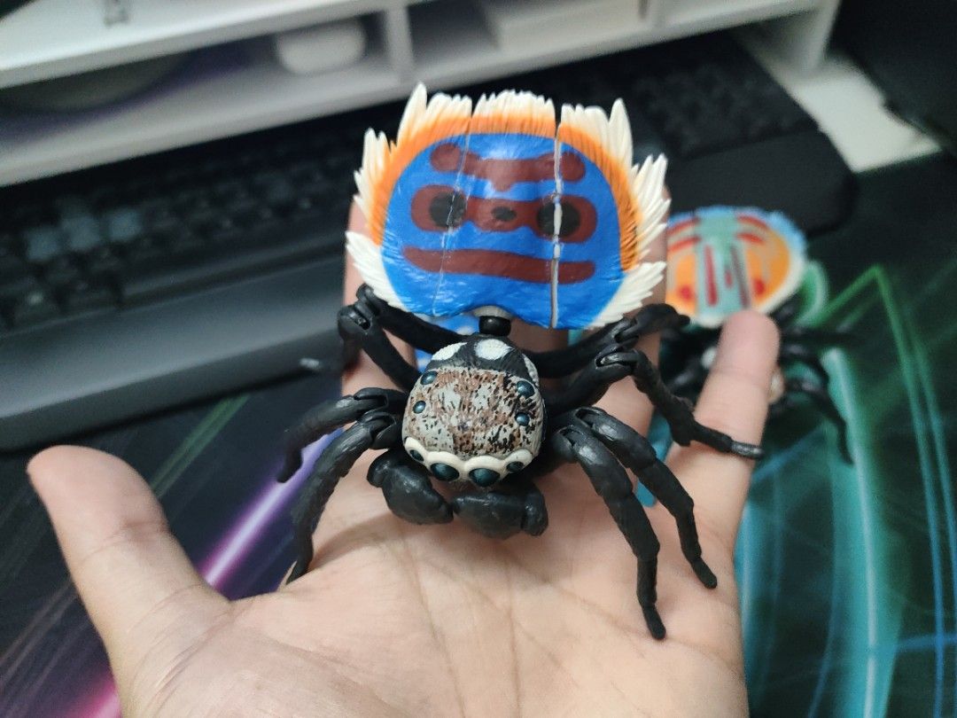 Original bandai gashapon spider dango mushi maratus peacock spider ...