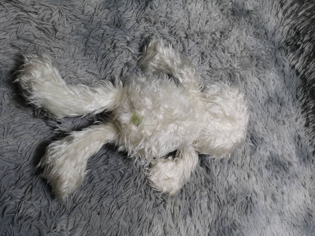 Sesame Street Elmo White Stuffed Toy, Hobbies & Toys, Toys & Games on ...