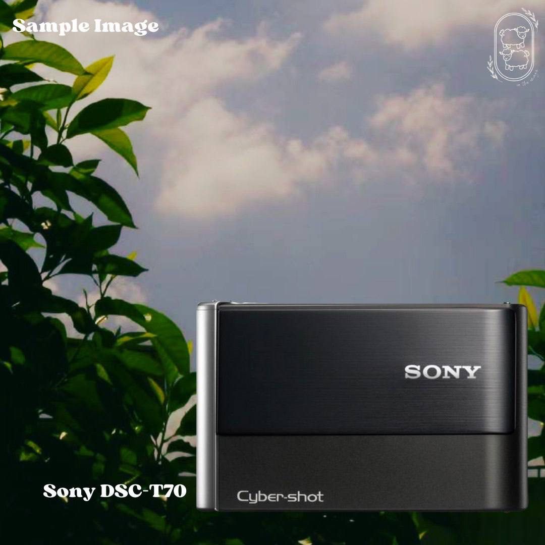 Sony Cybershot DSC T70 Black, Photography, Cameras on Carousell