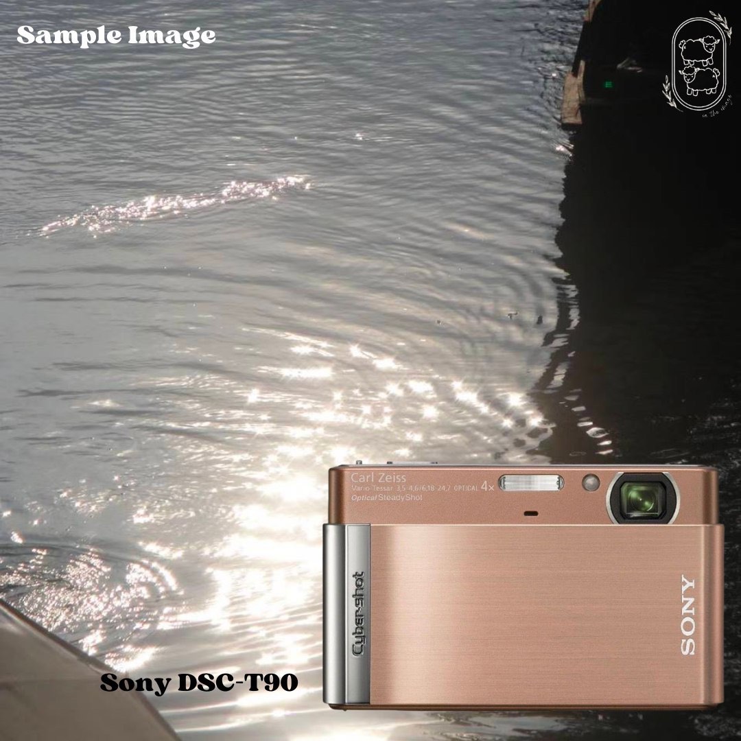 Sony Cybershot DSC T90 Brown, Photography, Cameras on Carousell
