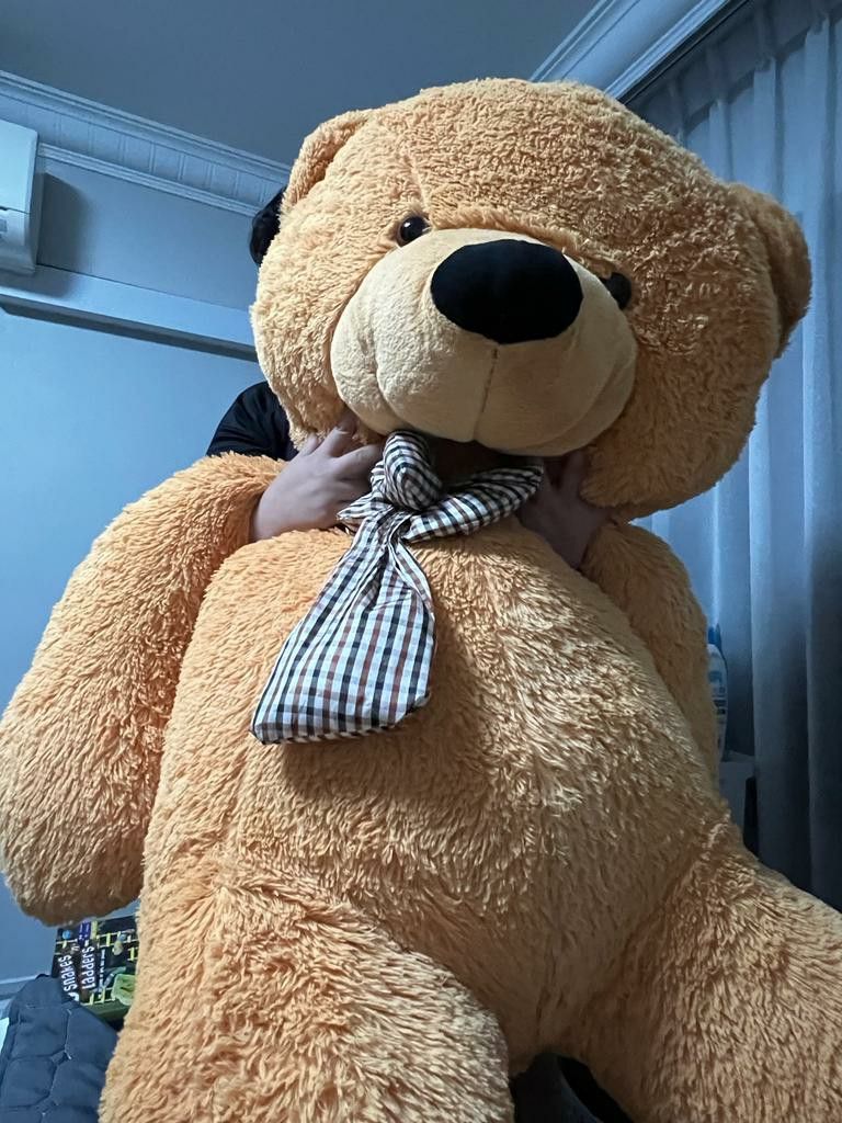Teddy Bear (human size), Everything Else on Carousell