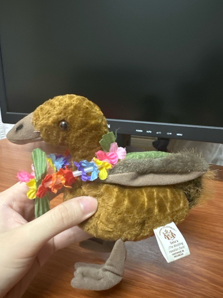 Waddling Hawaiian Duck Stuffed Toy, Hobbies & Toys, Toys & Games on ...