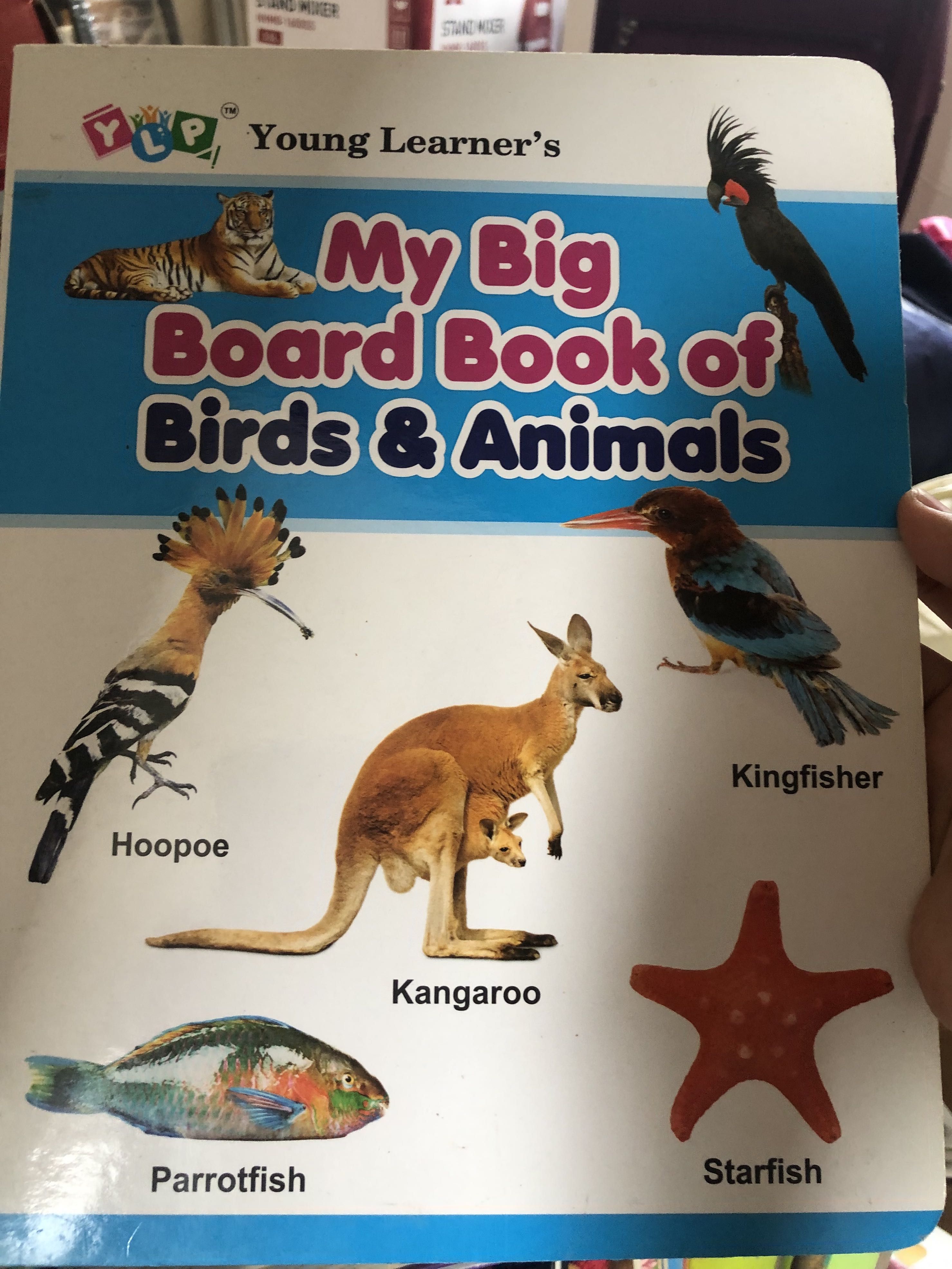 Young Learner’s My Big Board Book of Bird & Animals, Hobbies & Toys ...