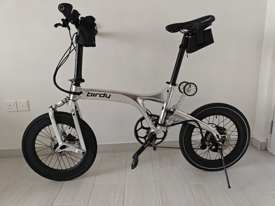 20 Inch Birdy Rohloff / Silver Polished (Rare), Sports Equipment ...