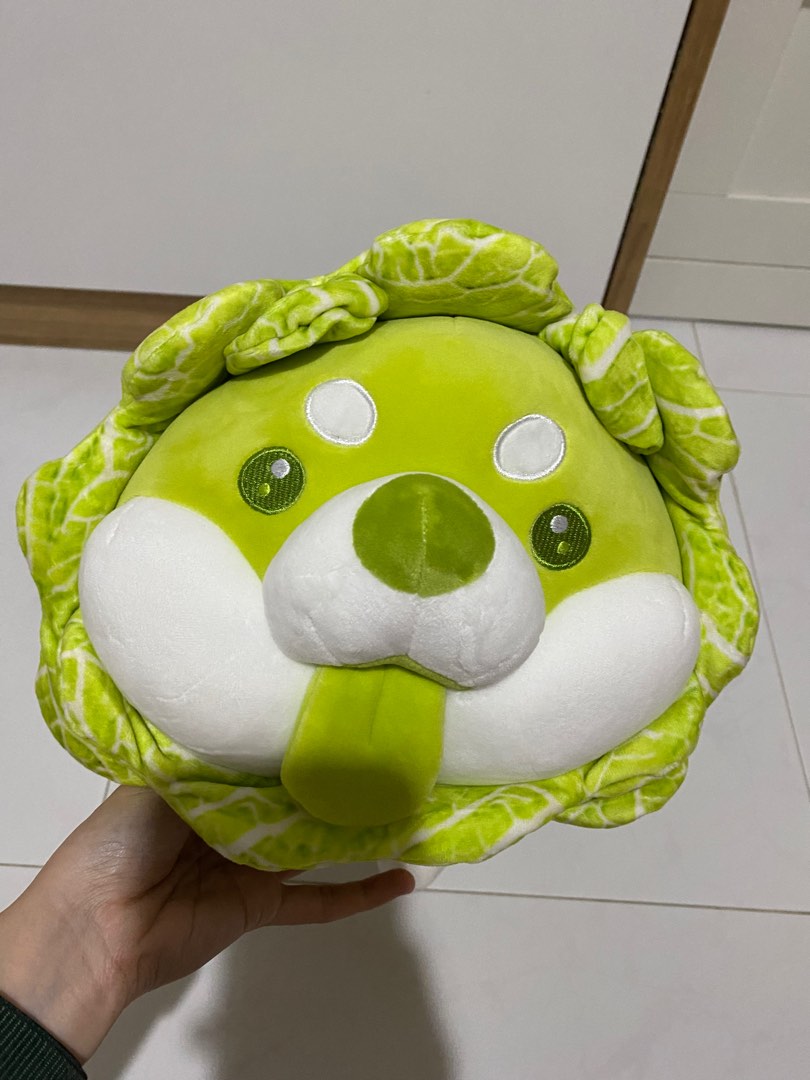 Cabbage dog plush, Hobbies & Toys, Toys & Games on Carousell