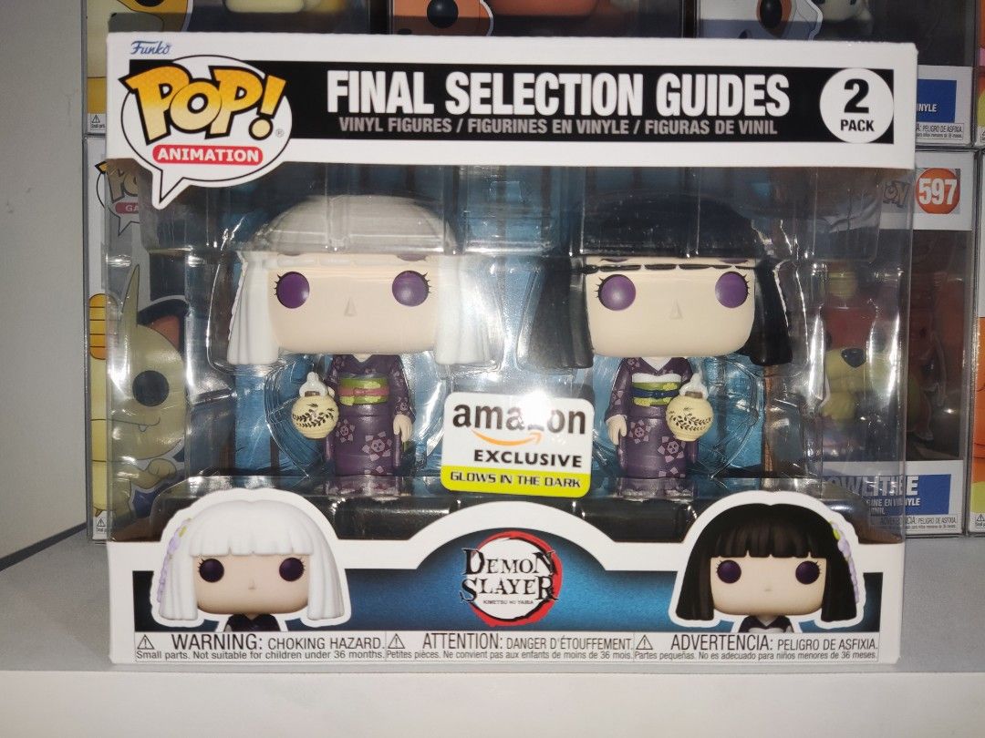 Demon Slayer Final Selection Guides Funko Pop, Hobbies & Toys, Toys & Games on Carousell