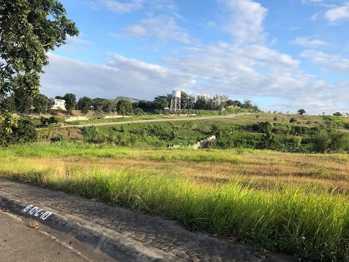 HOT SALE! Big Size Regular Cut Lot for Sale in Manila Southwoods ...