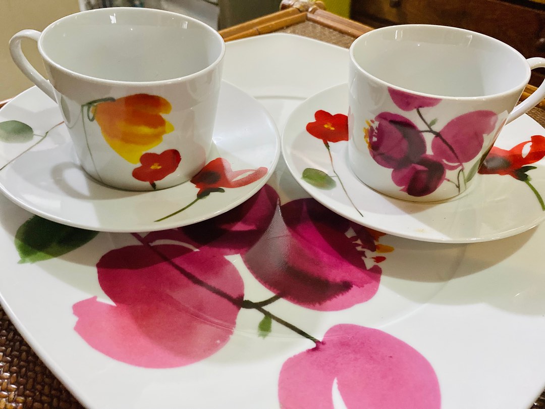 MULTIPLE CHOICE Cup and Saucer for 2 with 1 Dinner Plate, Furniture ...