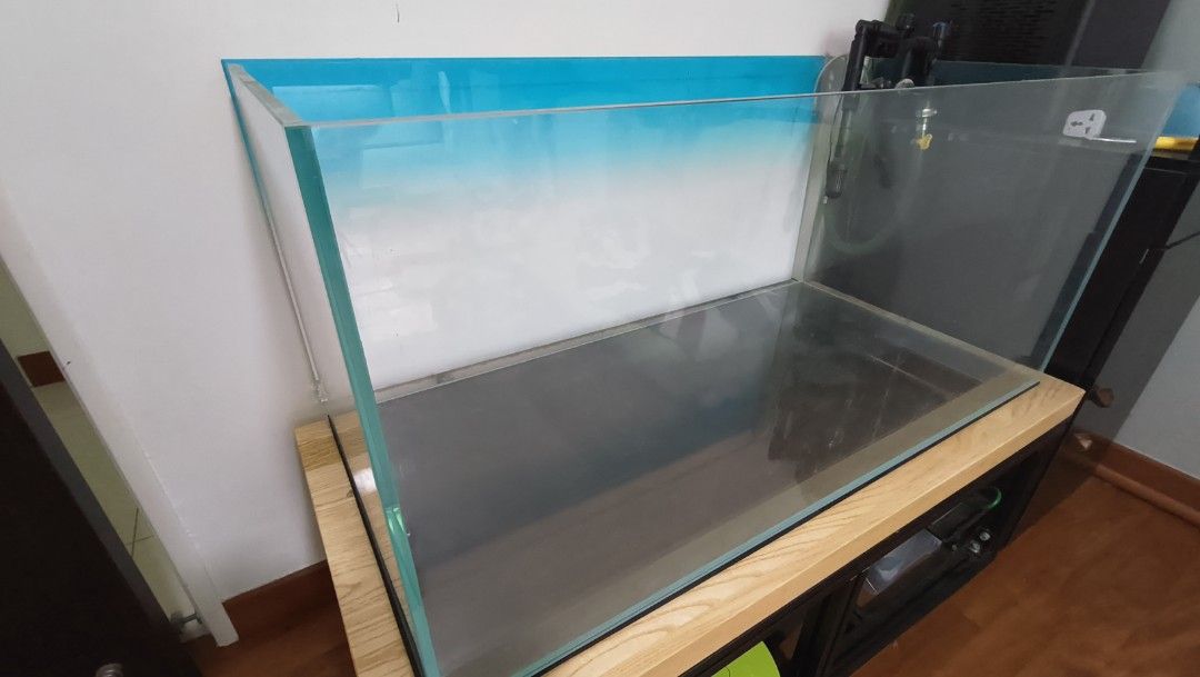 Rimless Crystal glass tank, Pet Supplies, Homes & Other Pet Accessories ...