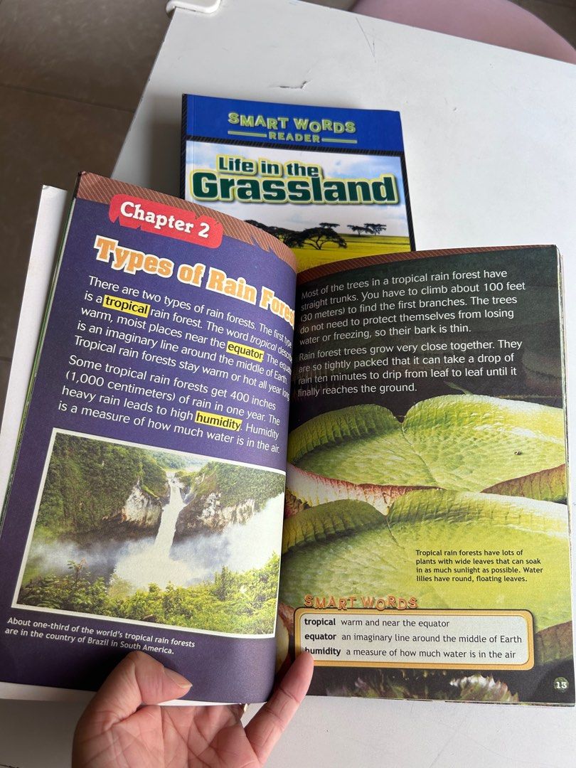 Scholastic Smart Words, Hobbies & Toys, Books & Magazines, Children's ...