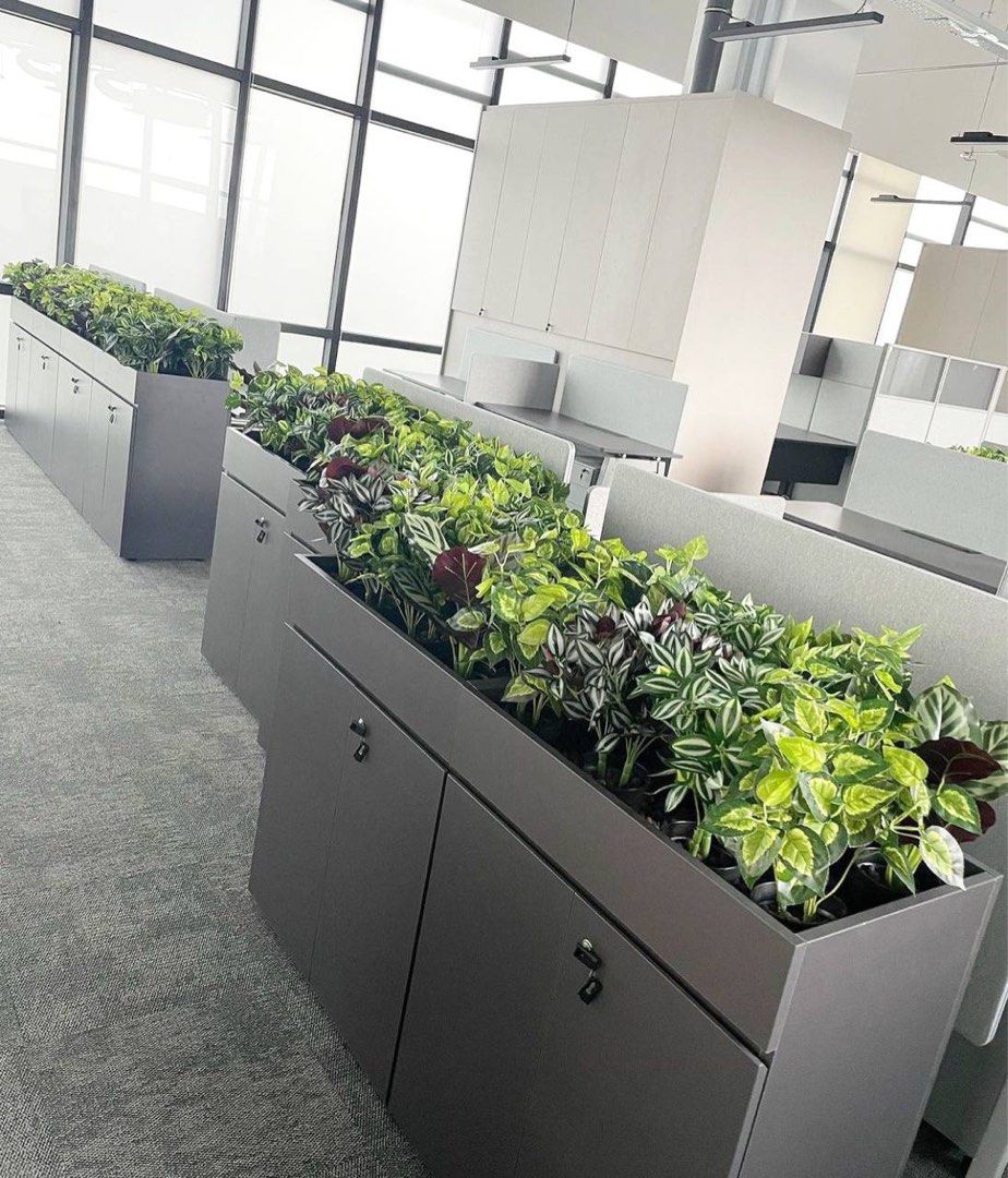 Skgarden | artificial 30cm plant | $15 | Watsapp landy 91680388 make ...