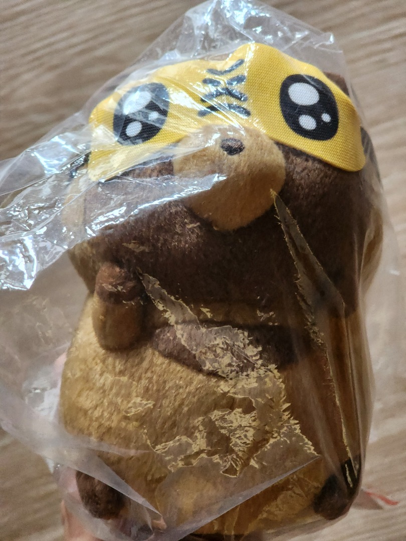 Tanuki to Kitsune C0805 Raccoon Plush Toy Doll Japan, Hobbies & Toys ...