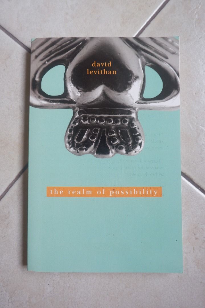 The Realm of Possibility by David Levithan, Hobbies & Toys, Books ...