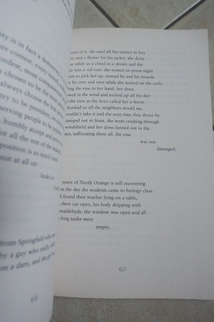 The Realm of Possibility by David Levithan, Hobbies & Toys, Books ...