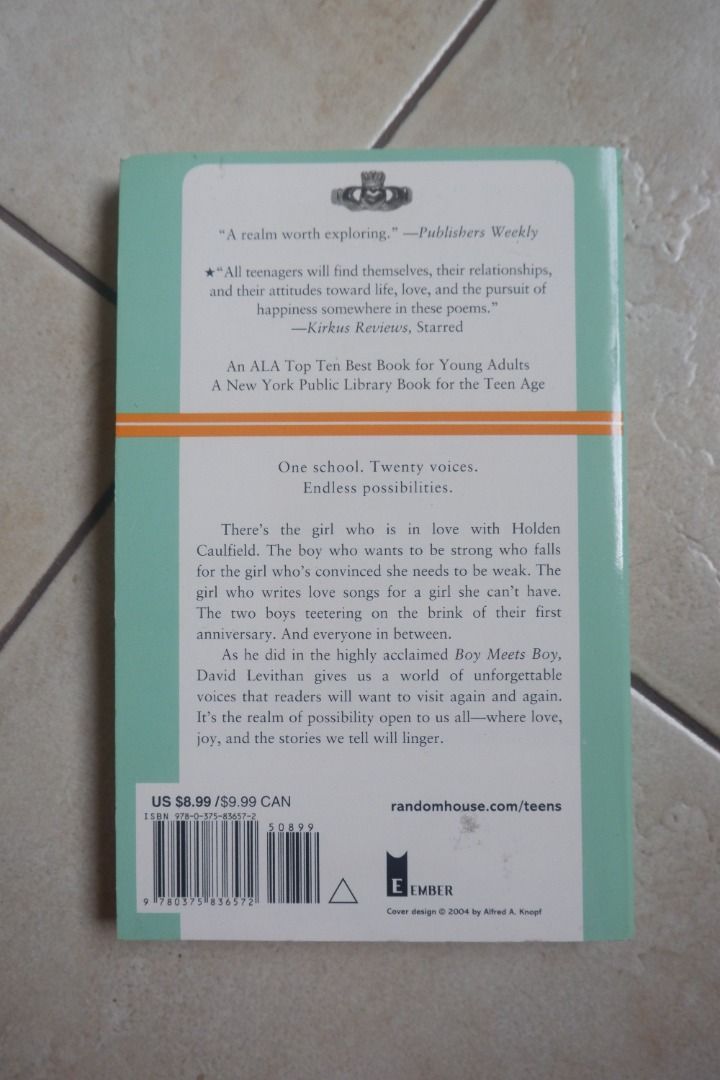 The Realm of Possibility by David Levithan, Hobbies & Toys, Books ...