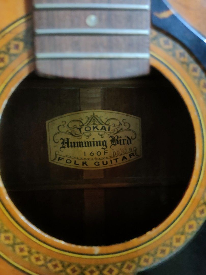 tokai hummingbird 160f 12-string folk guitar, Hobbies & Toys, Music ...
