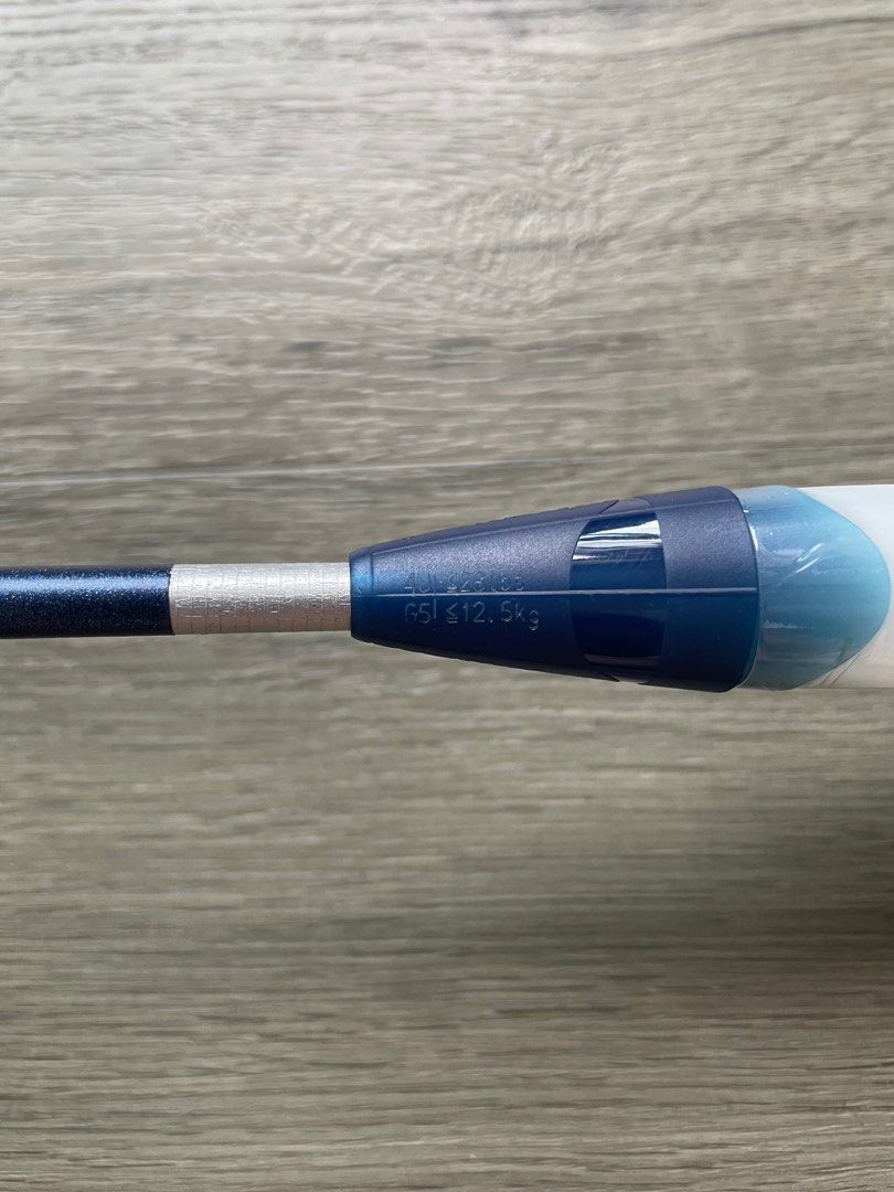 Victor DriveX 10 DX-10 Metallic Badminton Racket Racquet, Sports ...