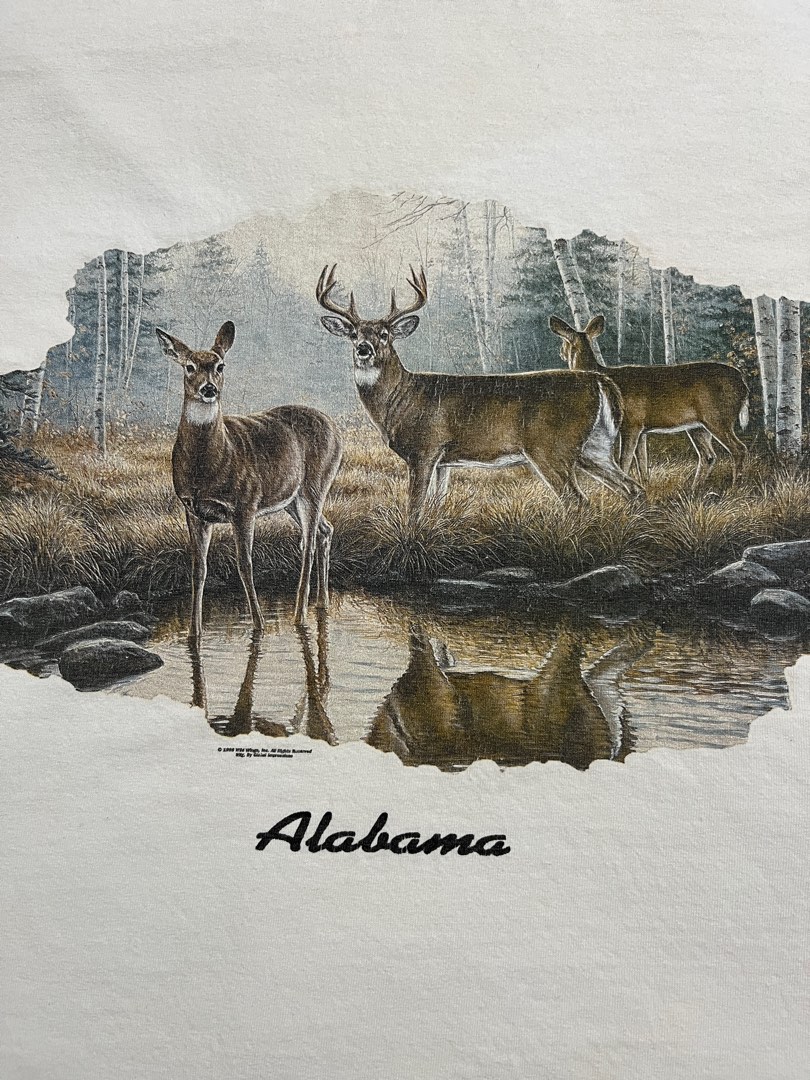 Vintage 1998 Animal Graphic Ringer Tee, Men's Fashion, Tops & Sets ...