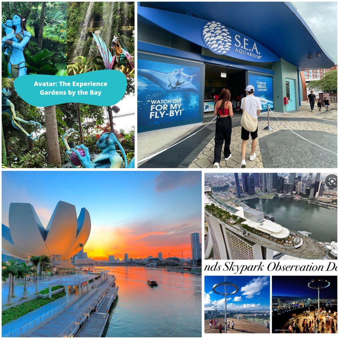 Adult Sea Aquarium Tickets| Garden By The Bay| Artscience Museum |Singapore Flyer| Sand Sky park ...