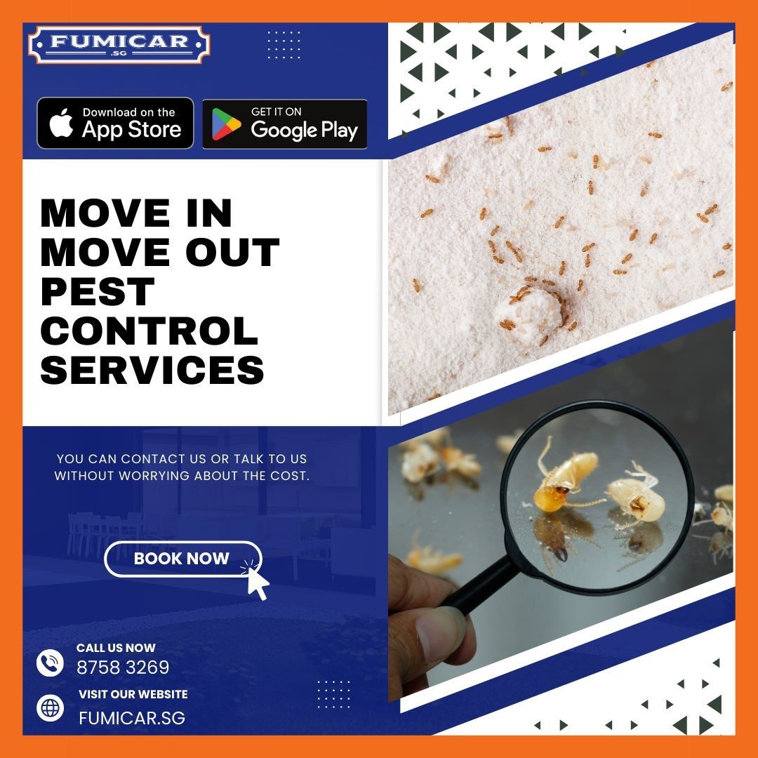 Booklice, Furniture & Home Living, Cleaning & Homecare Supplies, Pest ...