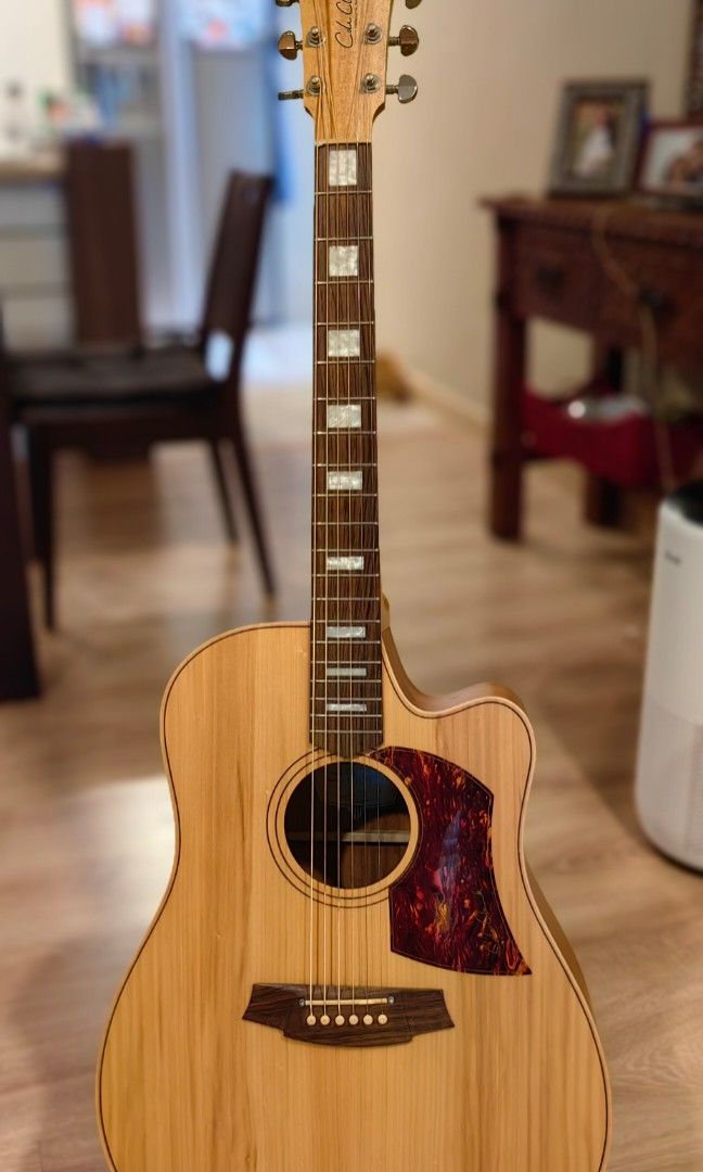Cole Clark Fat Lady 2 guitar, Hobbies & Toys, Music & Media, Musical ...