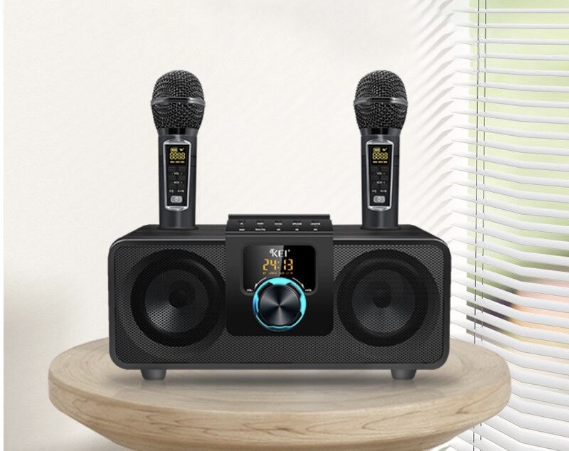 Karaoke set, Hobbies & Toys, Music & Media, Music Accessories on Carousell