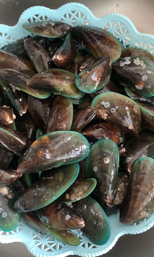 Live mussels from sea, Food & Drinks, Fresh Produce on Carousell