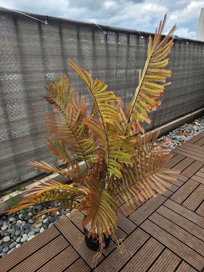 Skgarden | artificial palm plant | 80cm $38 | Watsapp landy 91680388 ...