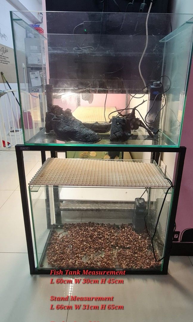 2ft Fish Tank Set, Pet Supplies, Homes & Other Pet Accessories on Carousell