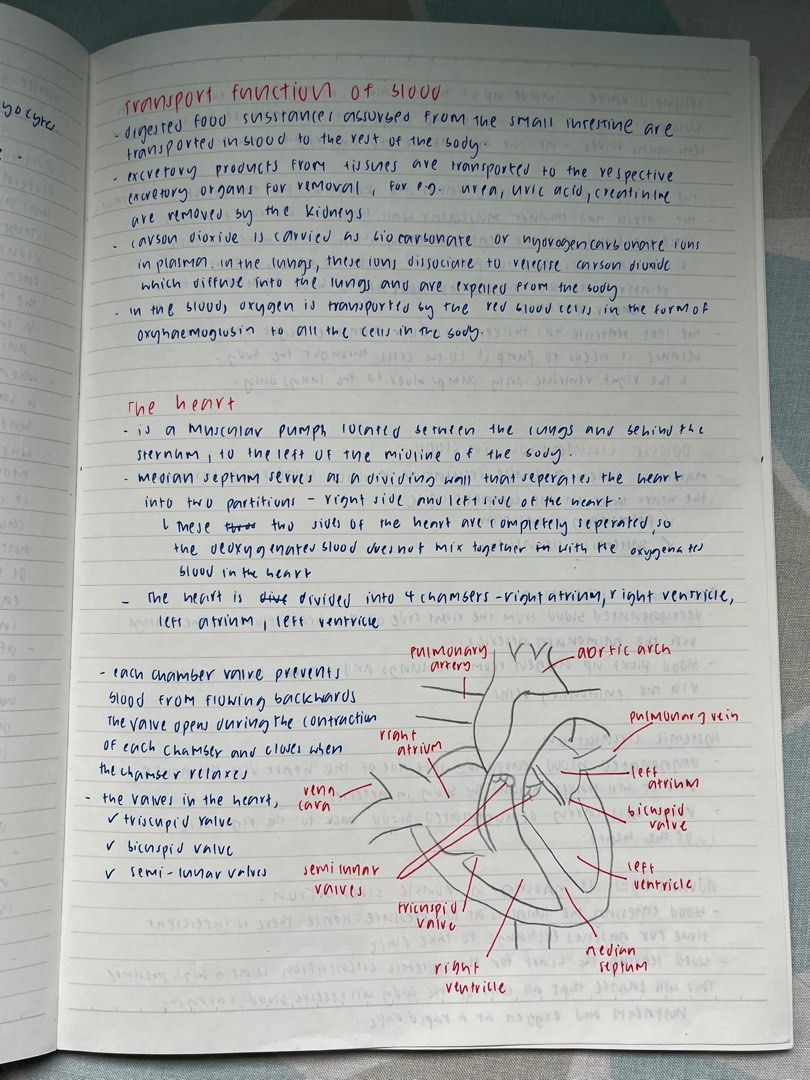 Combined Science Biology O Level Notes Hobbies And Toys Books