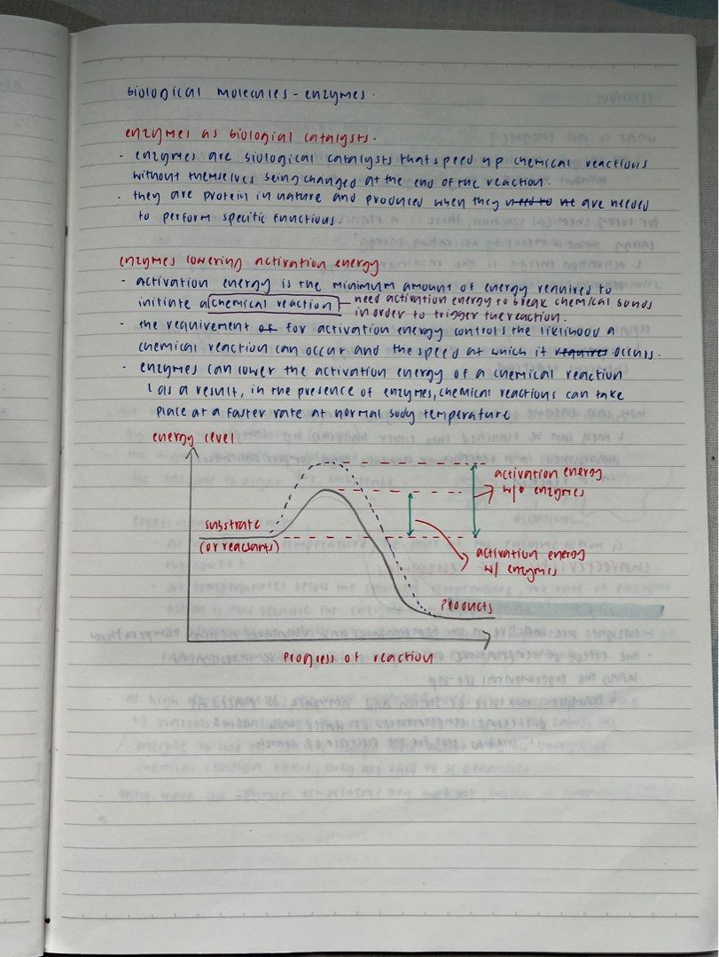 Combined science- Biology O level notes, Hobbies & Toys, Books ...