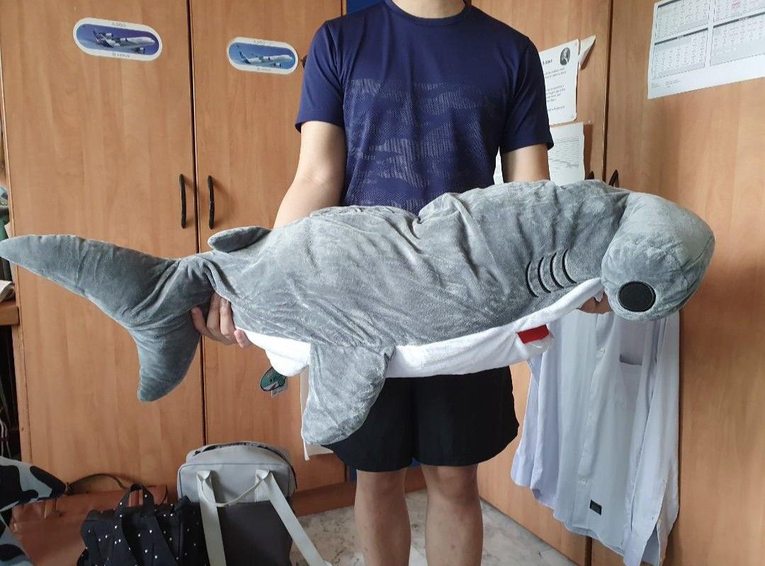 Grey Hammerhead shark, Hobbies & Toys, Toys & Games on Carousell