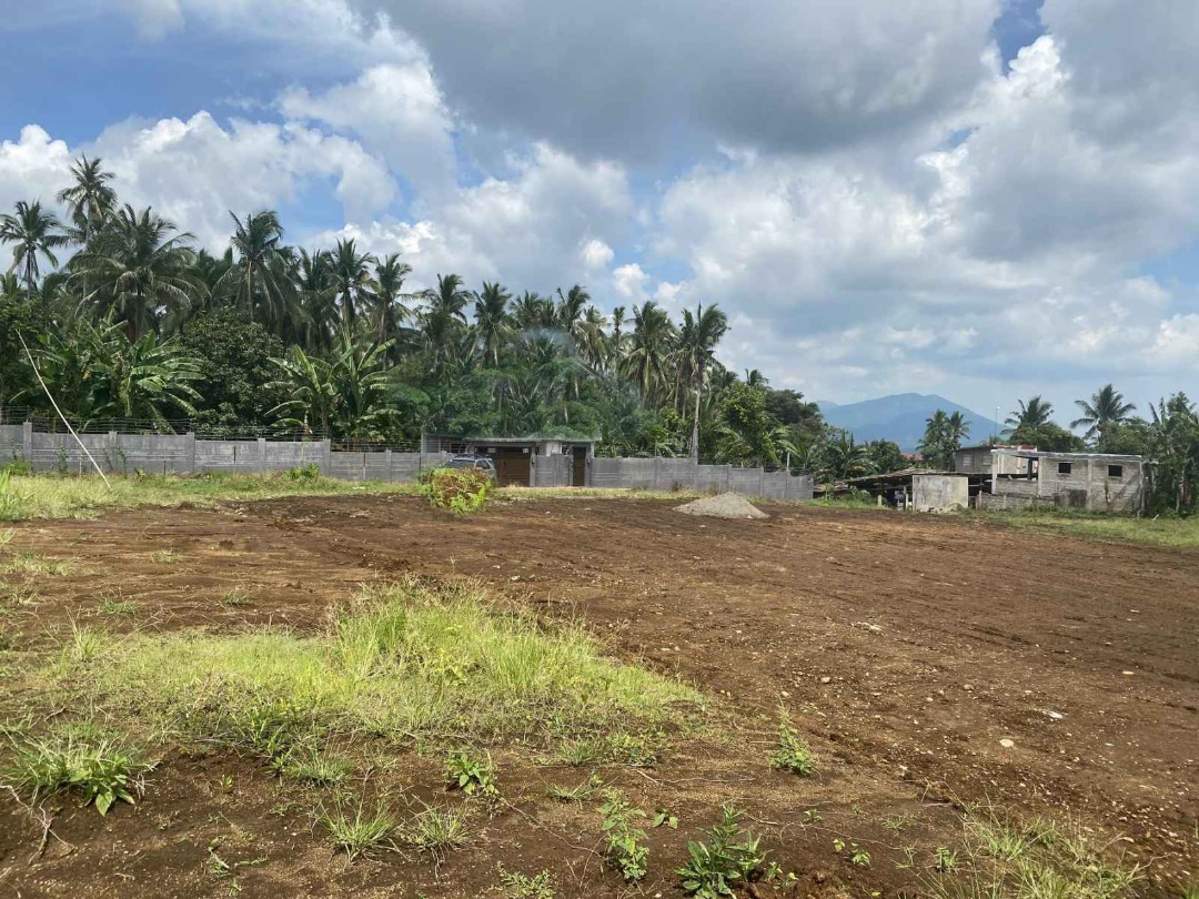 Lot for Sale at Liliw Laguna idea for farming and retirement place ...