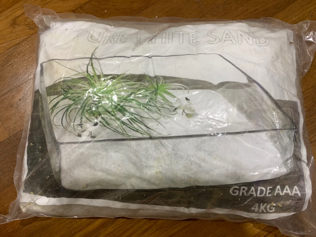 Pure white sand ( not sea sand ) grade AAA, Furniture & Home Living ...