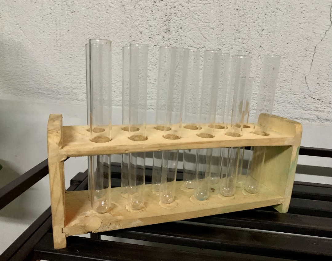 Set of Test Tubes and Rack, Hobbies & Toys, Stationary & Craft ...