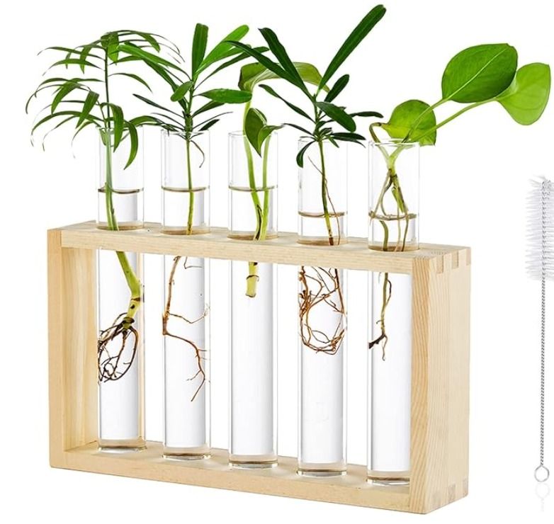 Set of Test Tubes and Rack, Hobbies & Toys, Stationary & Craft ...