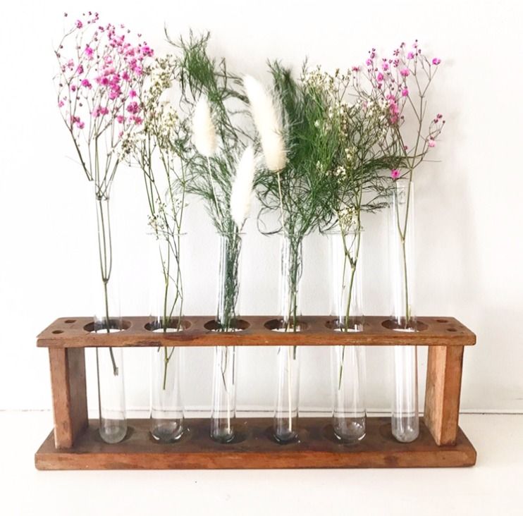Set of Test Tubes and Rack, Hobbies & Toys, Stationary & Craft ...