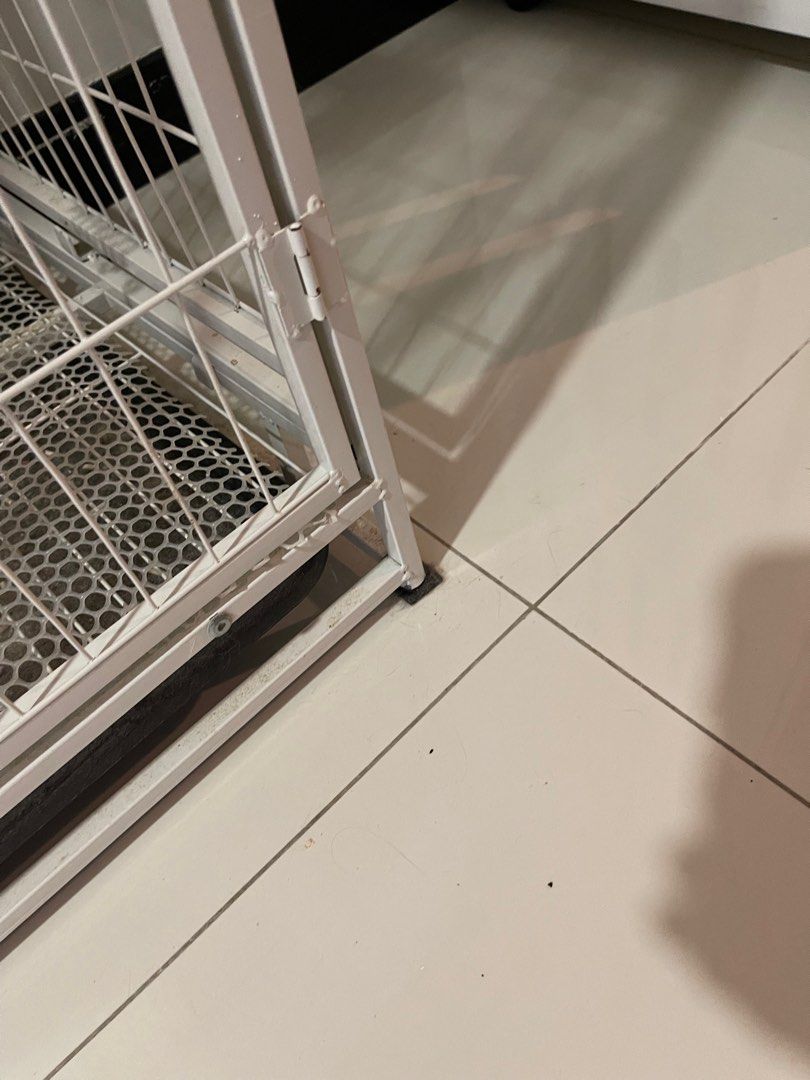 Thick white cage 4 tiers, Pet Supplies, Homes & Other Pet Accessories ...
