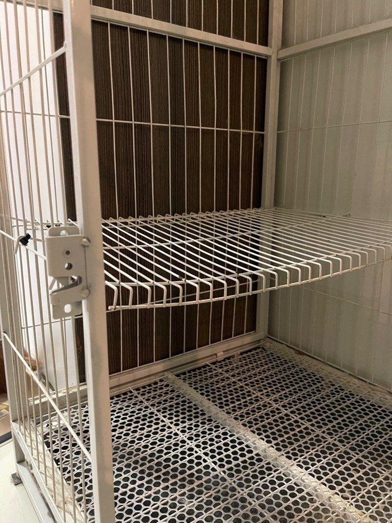 Thick white cage 4 tiers, Pet Supplies, Homes & Other Pet Accessories ...
