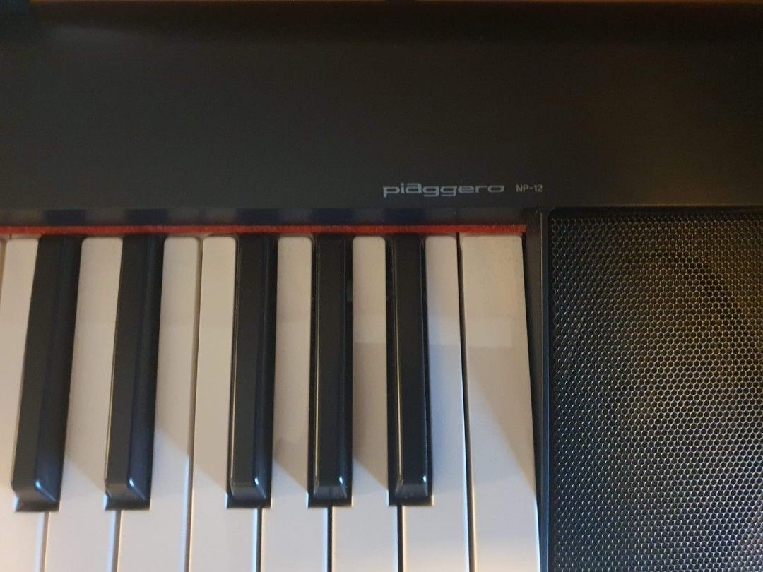 Yamaha Piaggero NP-12B Digital Keyboard, Hobbies & Toys, Music & Media ...