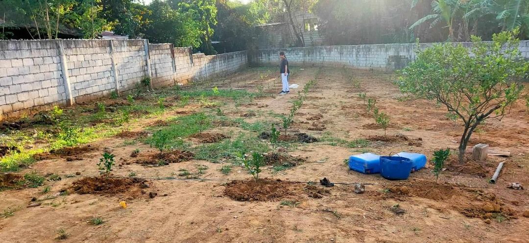 1500 sqm Residential farm lot in Sta. Maria, Bulacan, Property, For ...
