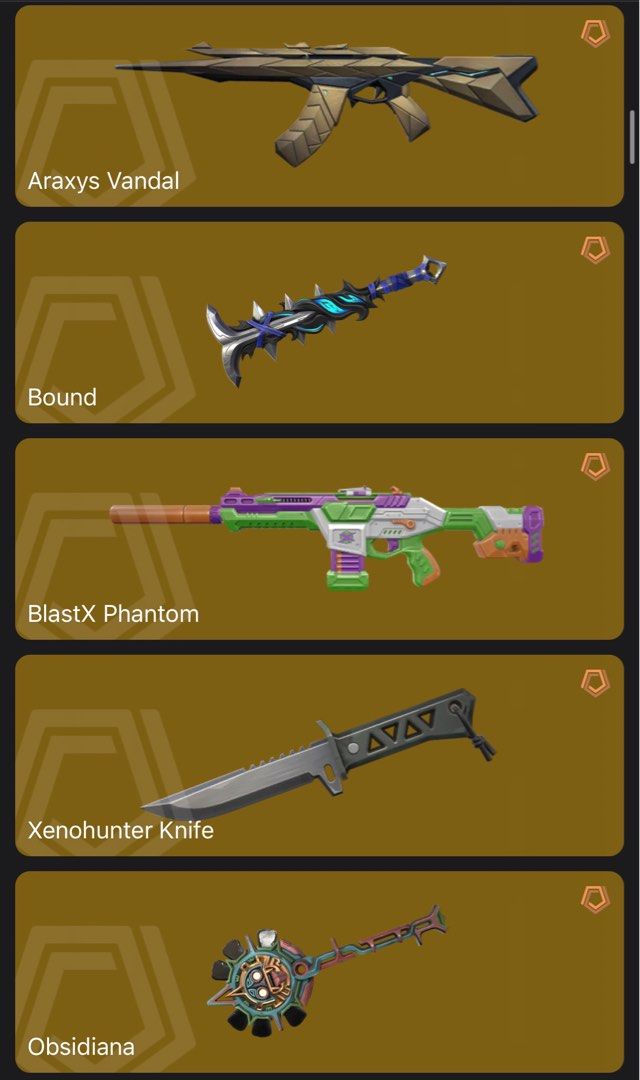 Asc OG valorant acc, Video Gaming, Gaming Accessories, In-Game Products ...