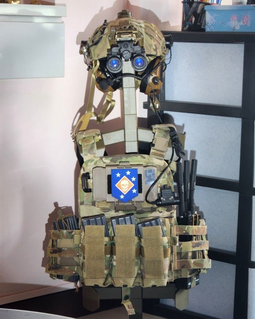 Crye Precision AVS Plate Carrier Setup Replica, Video Gaming, Gaming Accessories, Interactive ...