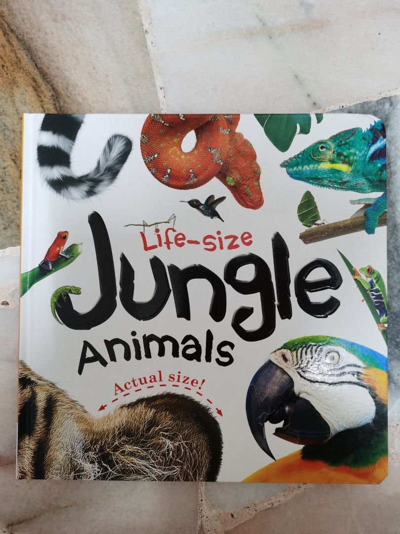 jingle animal actual size, Hobbies & Toys, Books & Magazines, Children ...