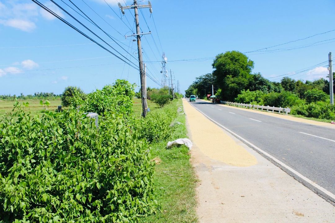 LOT FOR SALE ,BANI PANGASINAN ALONG THE HIGHWAY, Property, For Sale ...