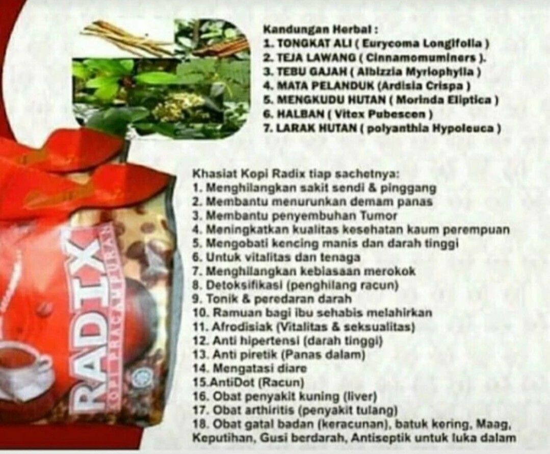 Radix Red Instant Coffee 32 sachets, Food & Drinks, Other Food & Drinks ...