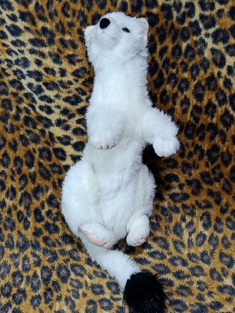 REALISTIC WHITE COLOR STOAT OTTER ANIMAL PLUSH TOY, Hobbies & Toys ...