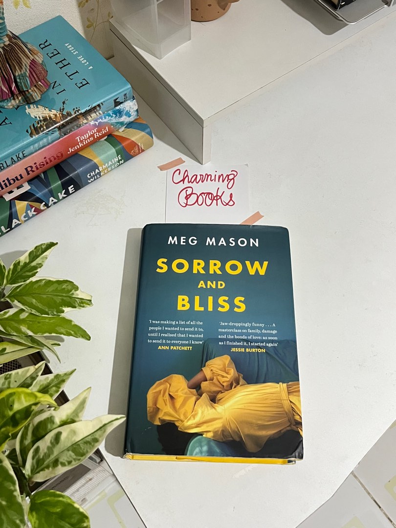 Sorrow and bliss by Meg Mason, Hobbies & Toys, Books & Magazines ...